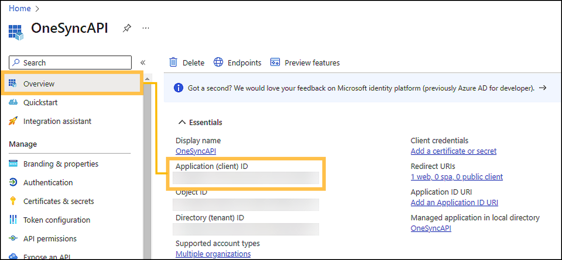 Authorization & API Registration—Entra ID: Obtaining a Client ID & Secret
